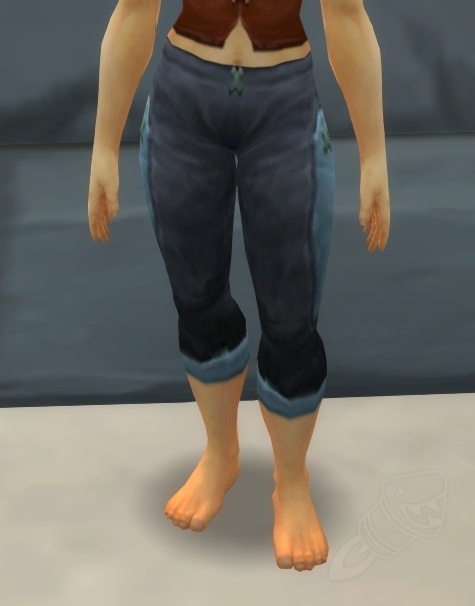 Brocade Pants - Item - World of Warcraft