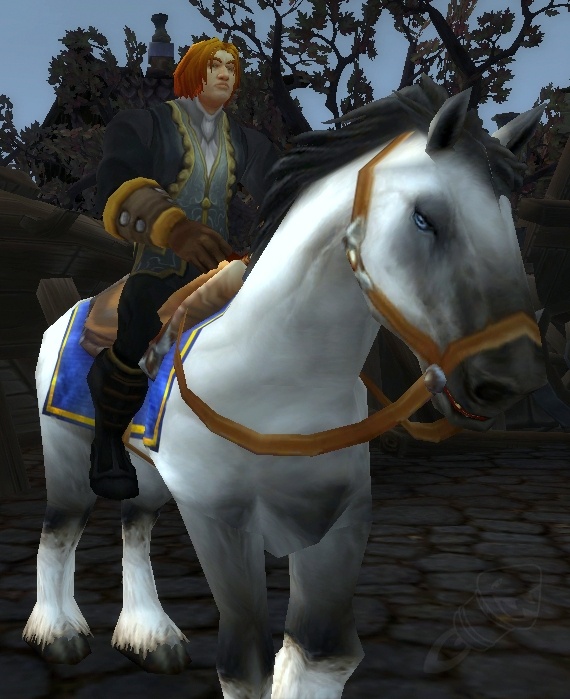 Prince Liam Greymane - NPC - World of Warcraft