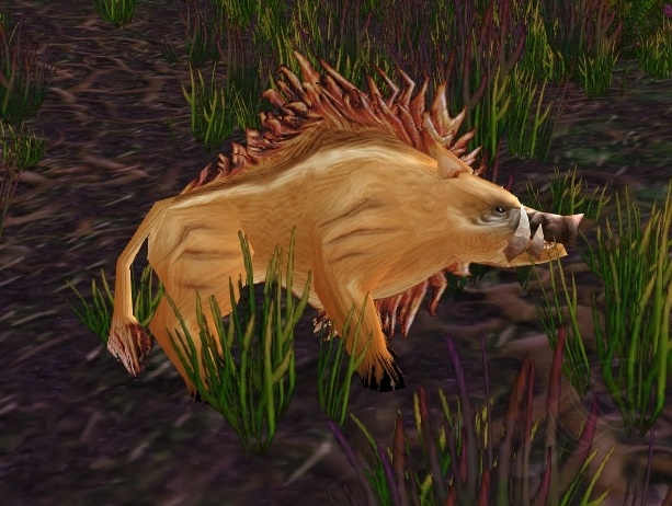 Thistle Boar - NPC - World of Warcraft