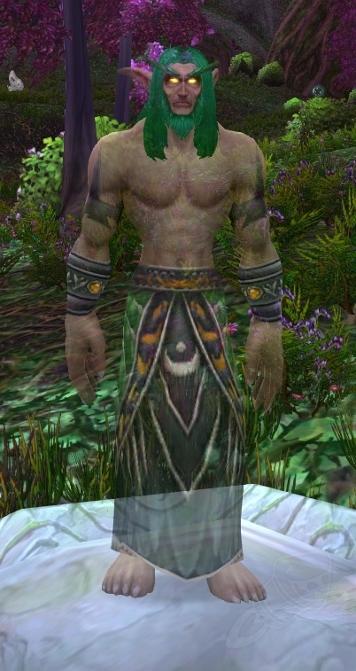 Shade of the Kaldorei - NPC - World of Warcraft