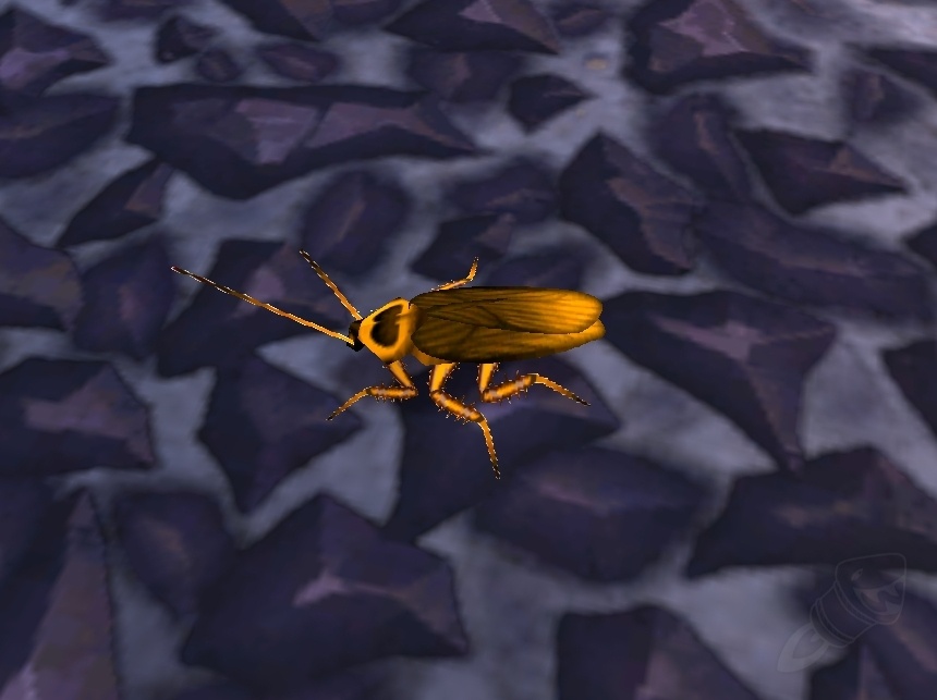 Roach - NPC - World of Warcraft