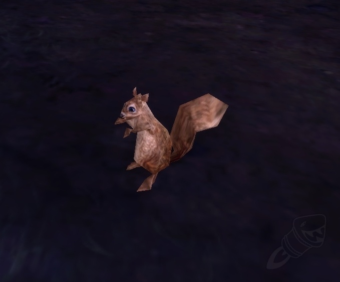 Squirrel - NPC - World of Warcraft