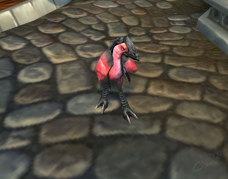 Lovebird Hatchling - NPC - World of Warcraft