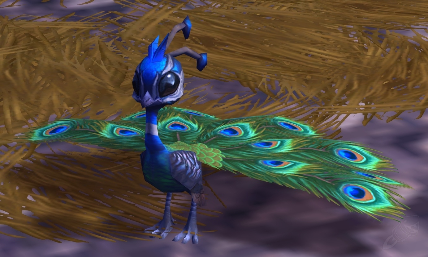 Jahan - NPC - World of Warcraft