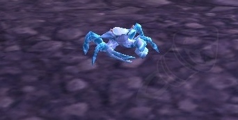 Moon - NPC - World of Warcraft