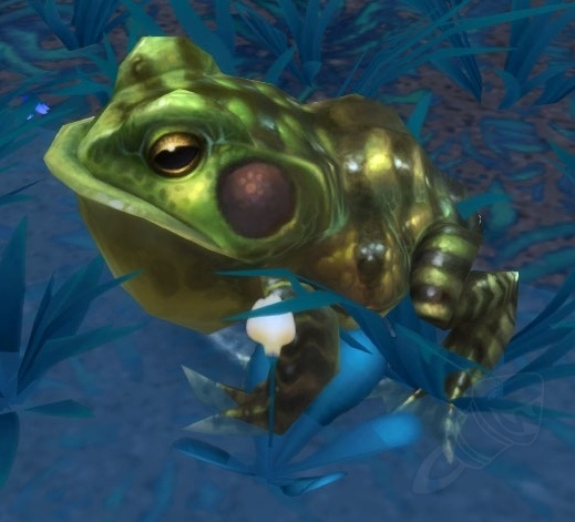 Belly Toad - NPC - World of Warcraft