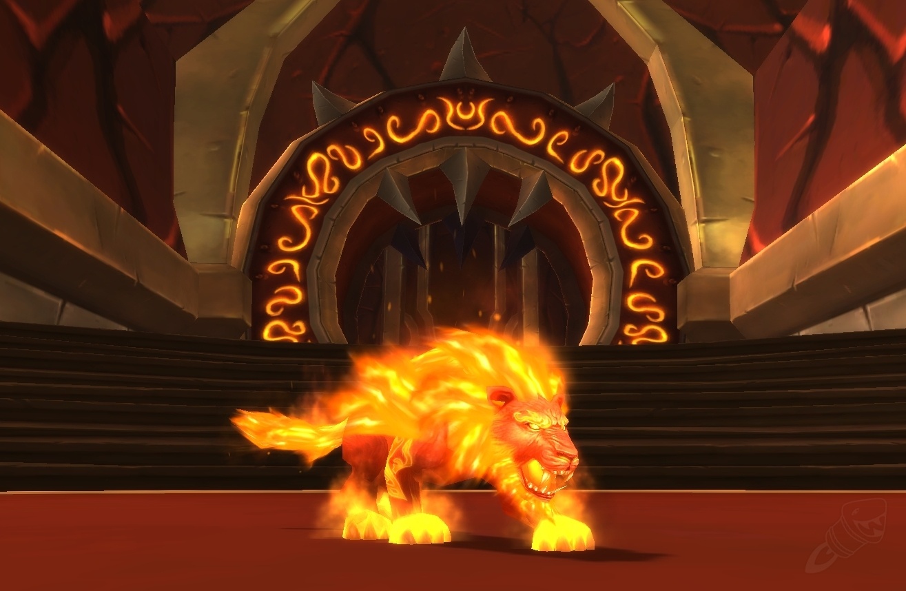 Druid forms collection. Kul Tiran. : r/wownoob