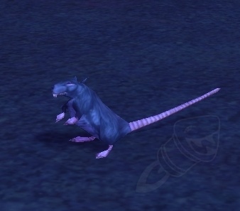 Darktide Rat - NPC - World of Warcraft
