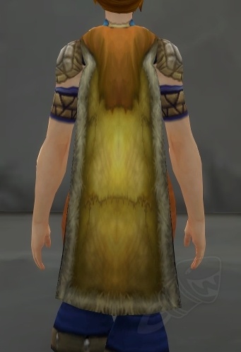 Bard's Cloak - Item - World of Warcraft