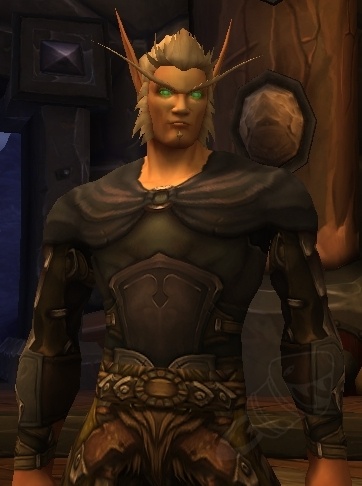 Element-Binder Chestguard - Item - World of Warcraft