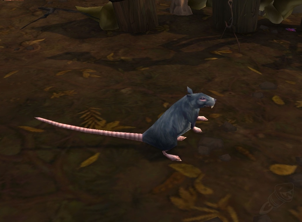 Rat - NPC - World of Warcraft