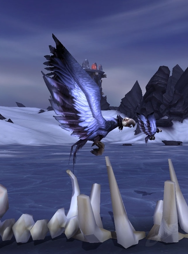 Frostfire Bonestripper - NPC - World of Warcraft