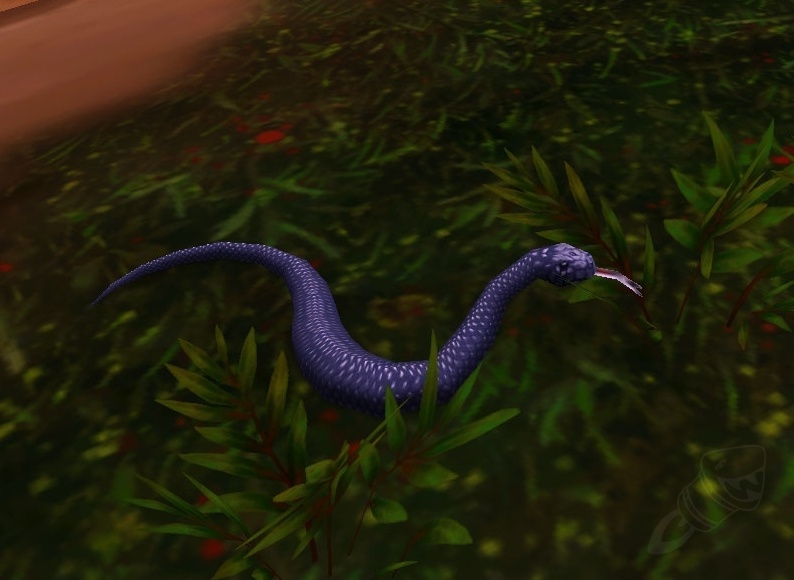 Filhote de Áspide Assustador - PNJ - World of Warcraft