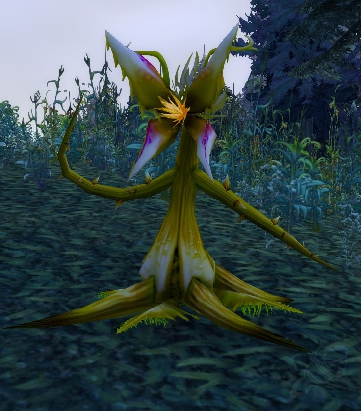 Root Trapper - NPC - World of Warcraft