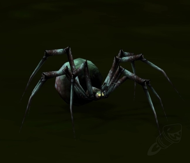 Araña - PNJ - World of Warcraft