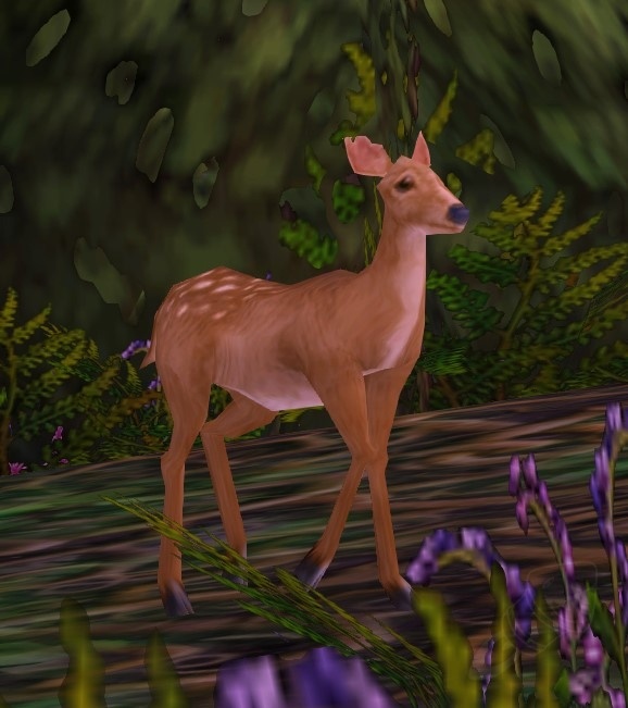 Fawn - NPC - World of Warcraft