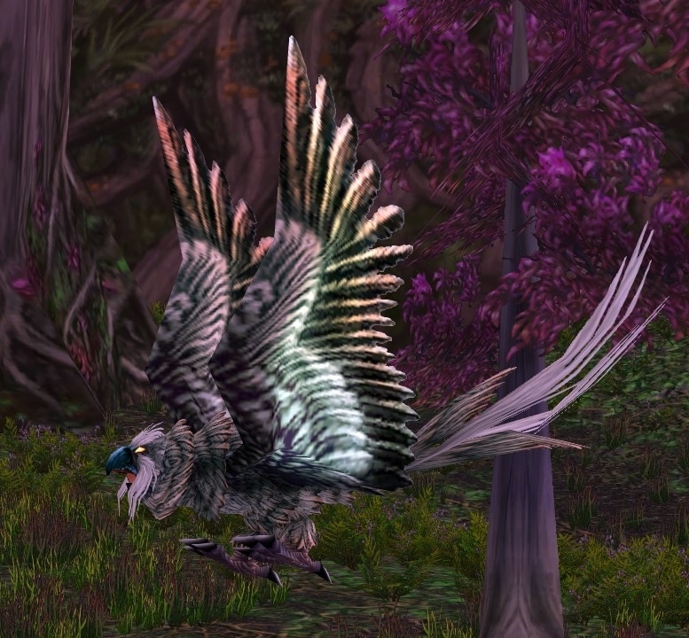 Strigid Screecher - NPC - World of Warcraft