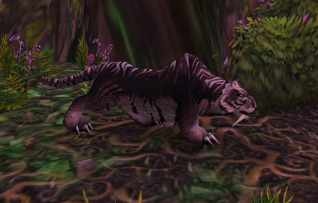 Feral Nightsaber - NPC - World of Warcraft