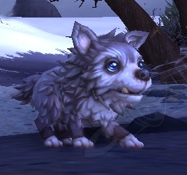 Missing Pack - Quest - World of Warcraft