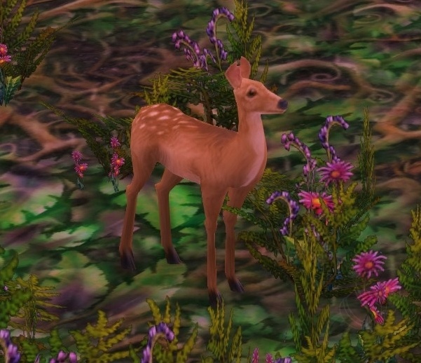 Whitetail Doe - NPC - World of Warcraft