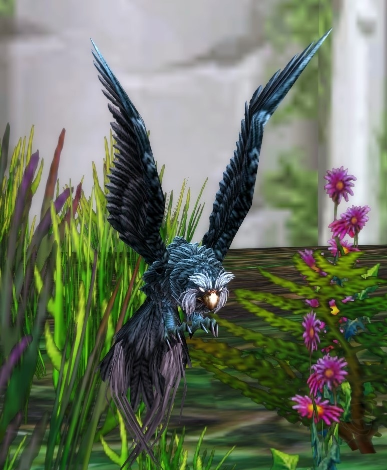 Hawk Owl - NPC - World of Warcraft