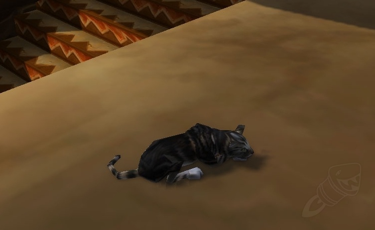 Momo - NPC - World of Warcraft