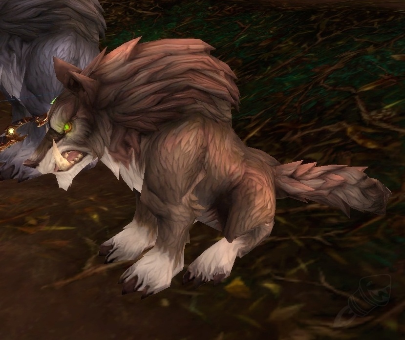 Sif Npc World Of Warcraft