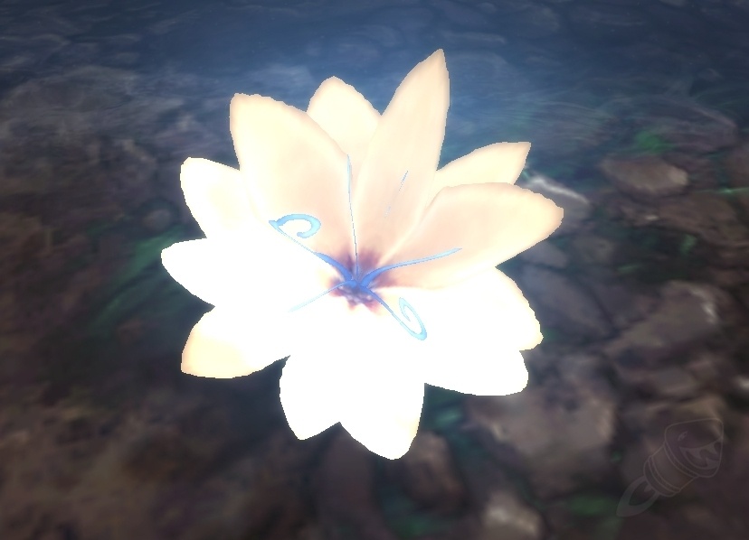 빛나는 발걸음 - 주문 - 월드 오브 워크래프트