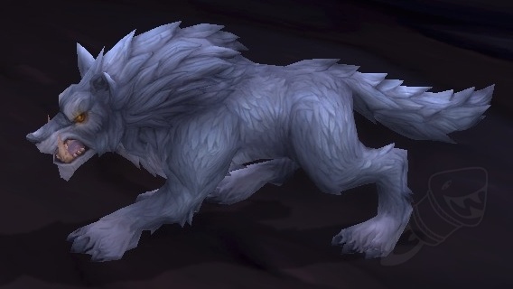 Lobo Guarda - PNJ - World of Warcraft