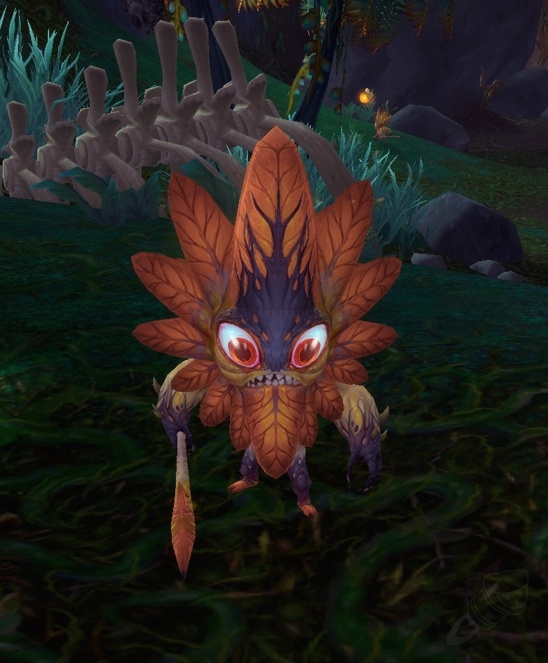 Wakkalín - PNJ - World of Warcraft