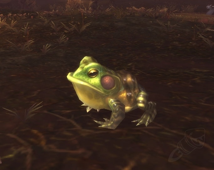 Fel Legendary Pet Tracking Quest 8 - Quest - World of Warcraft