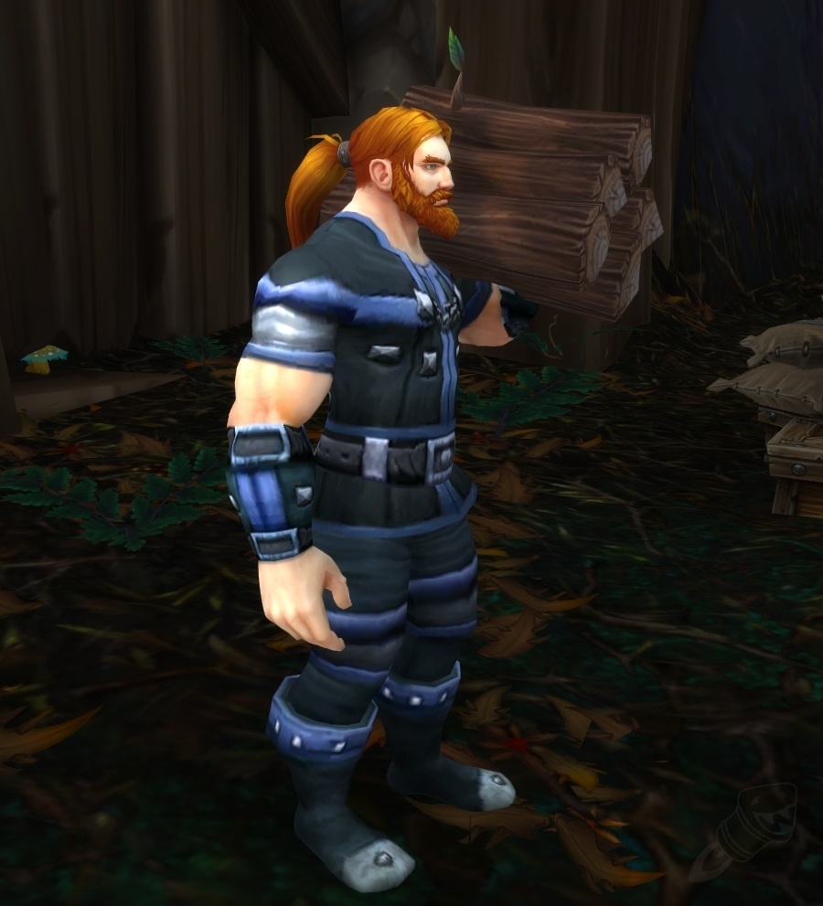 Laborer - NPC - World of Warcraft