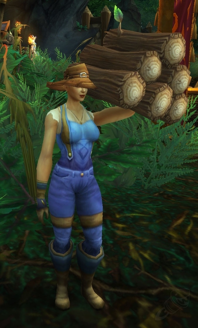 Laborer - NPC - World of Warcraft