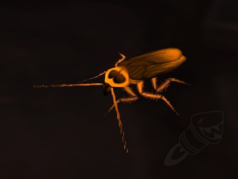 Warspear Cockroach - NPC - World of Warcraft