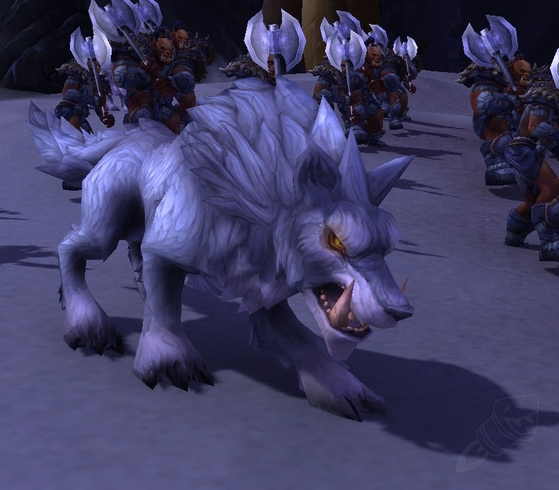 Frost Wolf - NPC - World of Warcraft