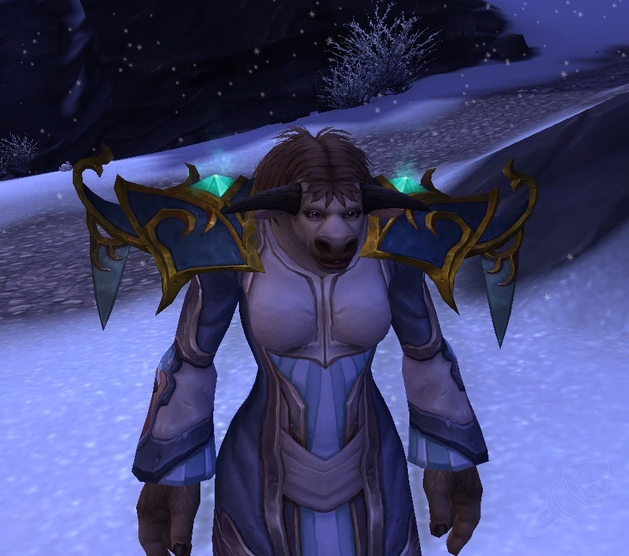 Pilot's Pauldrons - Item - World of Warcraft