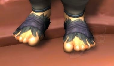 Fußlappen des Frostwirkers - Gegenstand - World of Warcraft