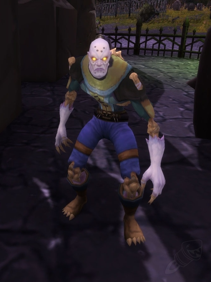 David Luong - PNJ - World of Warcraft