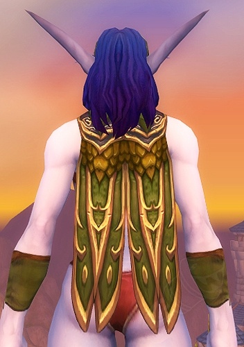 Forward Observer's Camouflage Cloak - Item - World of Warcraft