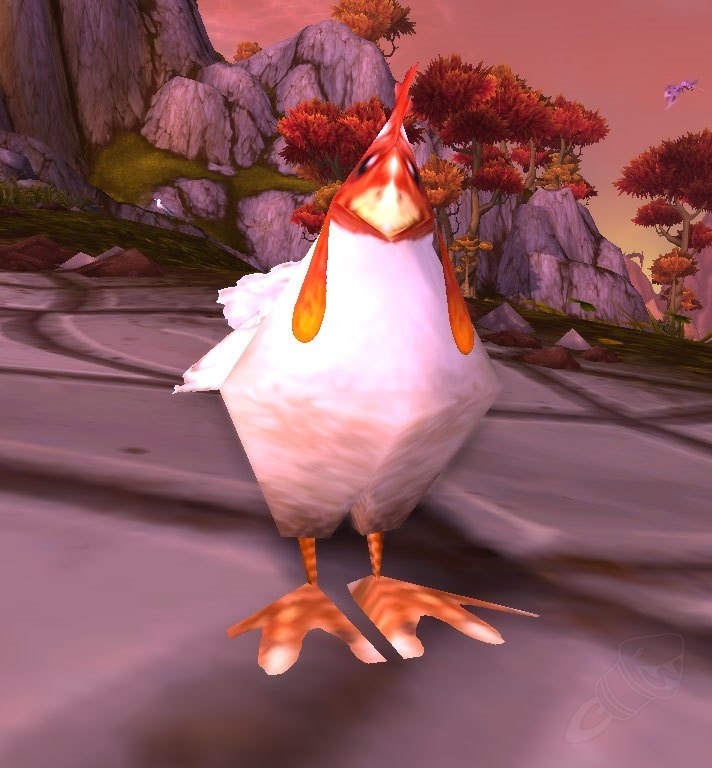 Pollo de Talador - PNJ - World of Warcraft