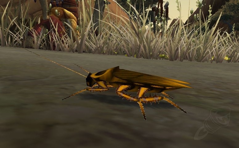 Hissing Roach - NPC - World of Warcraft