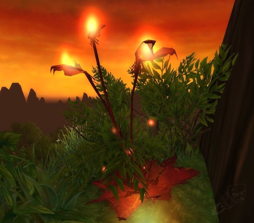 Fire Poppy - Object - World of Warcraft