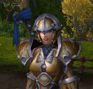 Faded Forest Armored Helm - Item - World of Warcraft