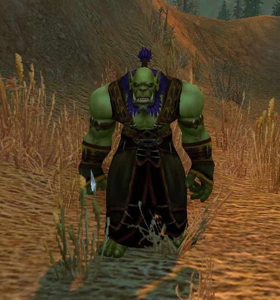 Burning Blade Acolyte - NPC - World of Warcraft