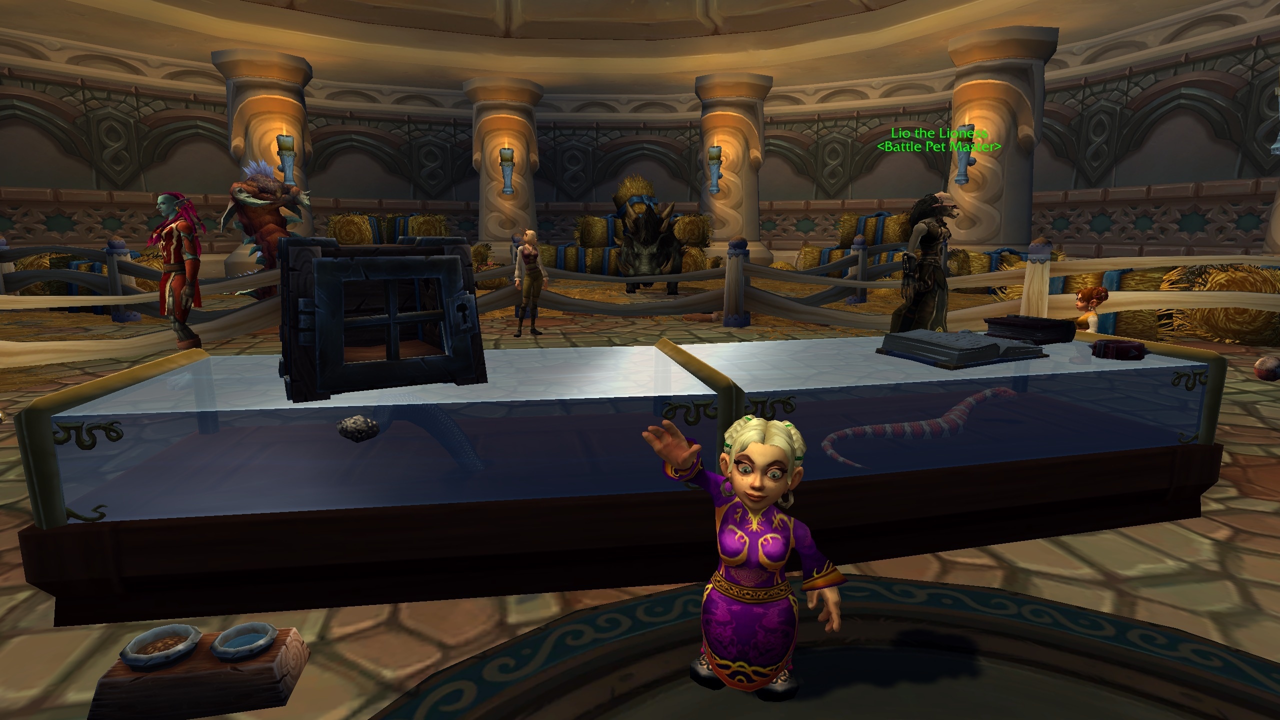 Dalaran and Rogue - Gallery - World of Warcraft