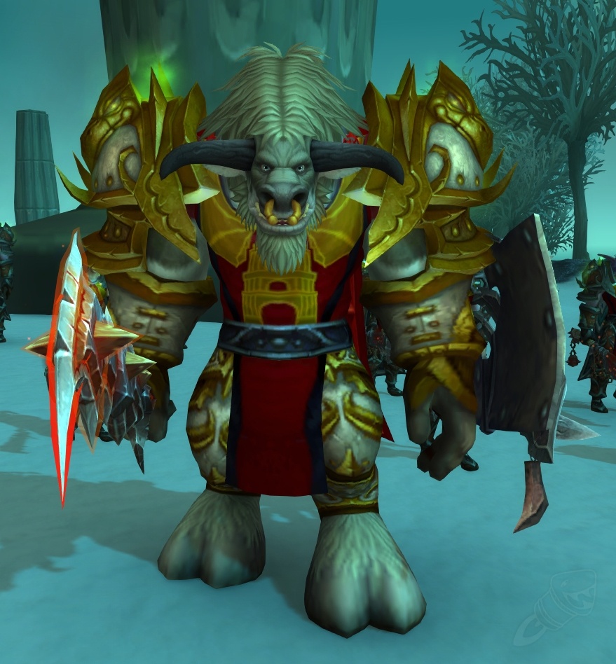 Wyrmrest Captain - NPC - World of Warcraft