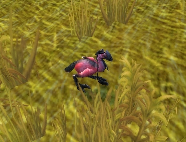 Spazzranache - NPC - World of Warcraft