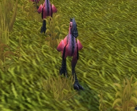 Razzranache - NPC - World of Warcraft