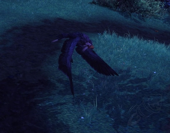 Lunarfall Owl - NPC - World of Warcraft