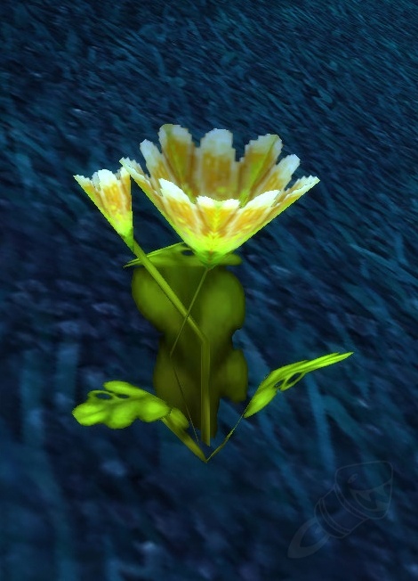 Summon Flower - Spell - World of Warcraft